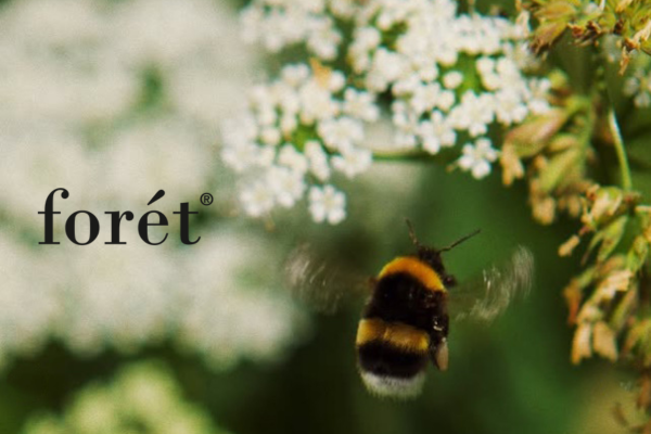 forét – Nordic Outdoor